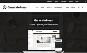 30+ Best Free WordPress Themes For 2024